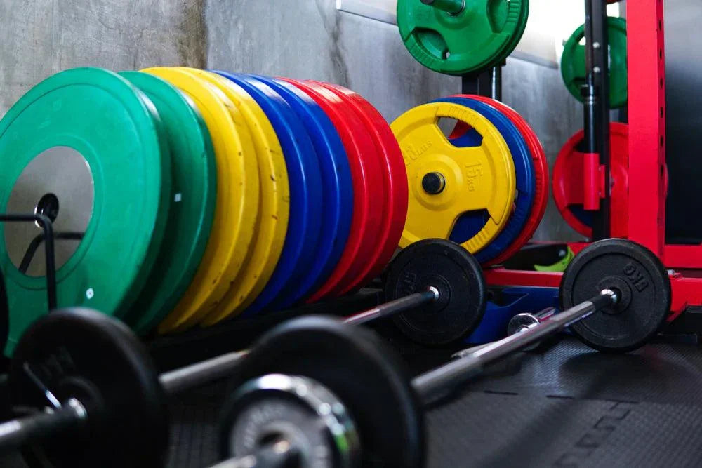 How to Choose the Right Types of Weights for Your Fitness | RitKeep ...